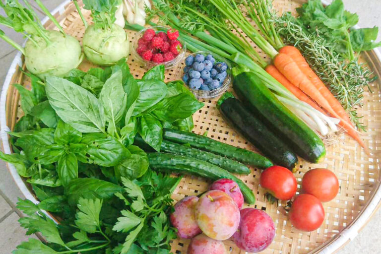 KITCHEN RUPO – 静岡県内でキッチンカー・出張シェフで本格イタリアンをご提供