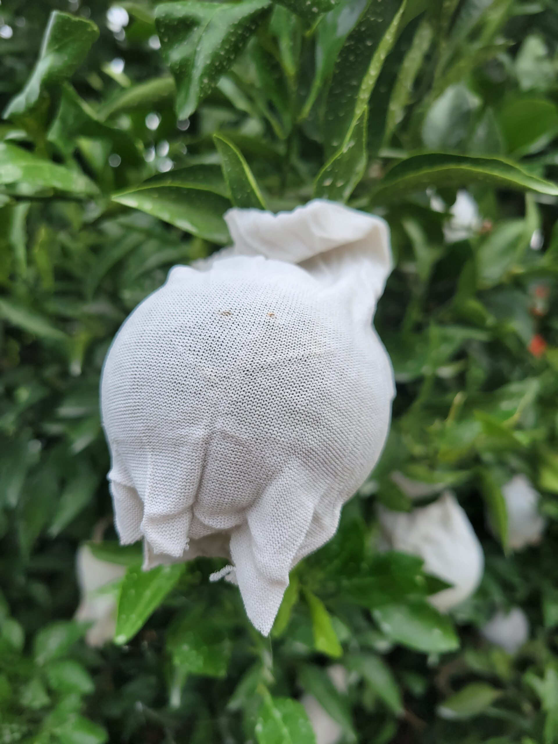 ぶらチャリ – KITCHEN RUPO